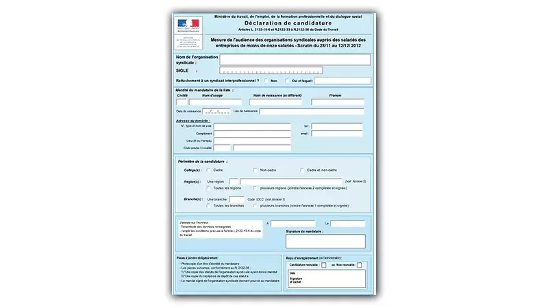Formulaires pour se porter candidats aux élections salariées dans une TPE | Travail-emploi.gouv ...